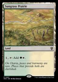 Sungrass Prairie (Enkeltkort) - Mtg_cards fra Outland